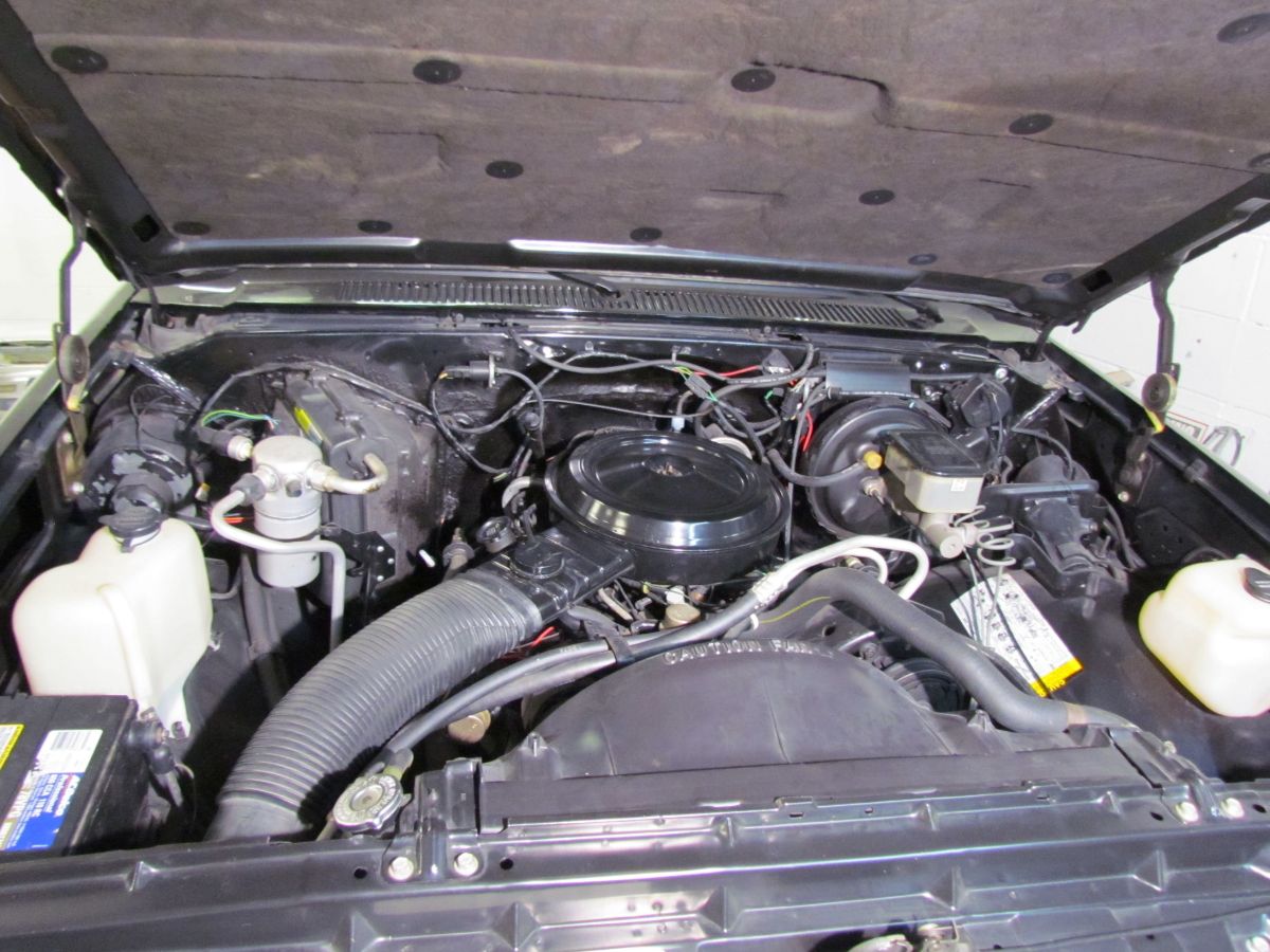 1985 Chevy C10 Engine